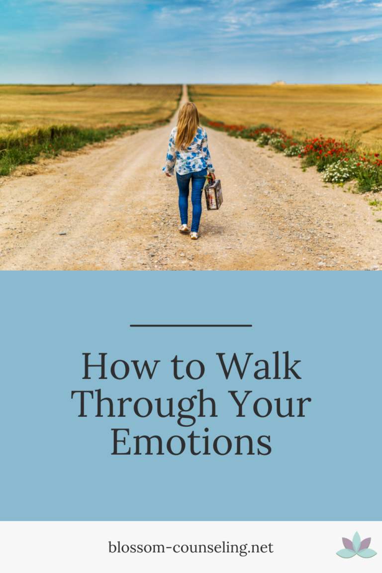 Walk Through Emotions: A Guide to Navigating Feelings